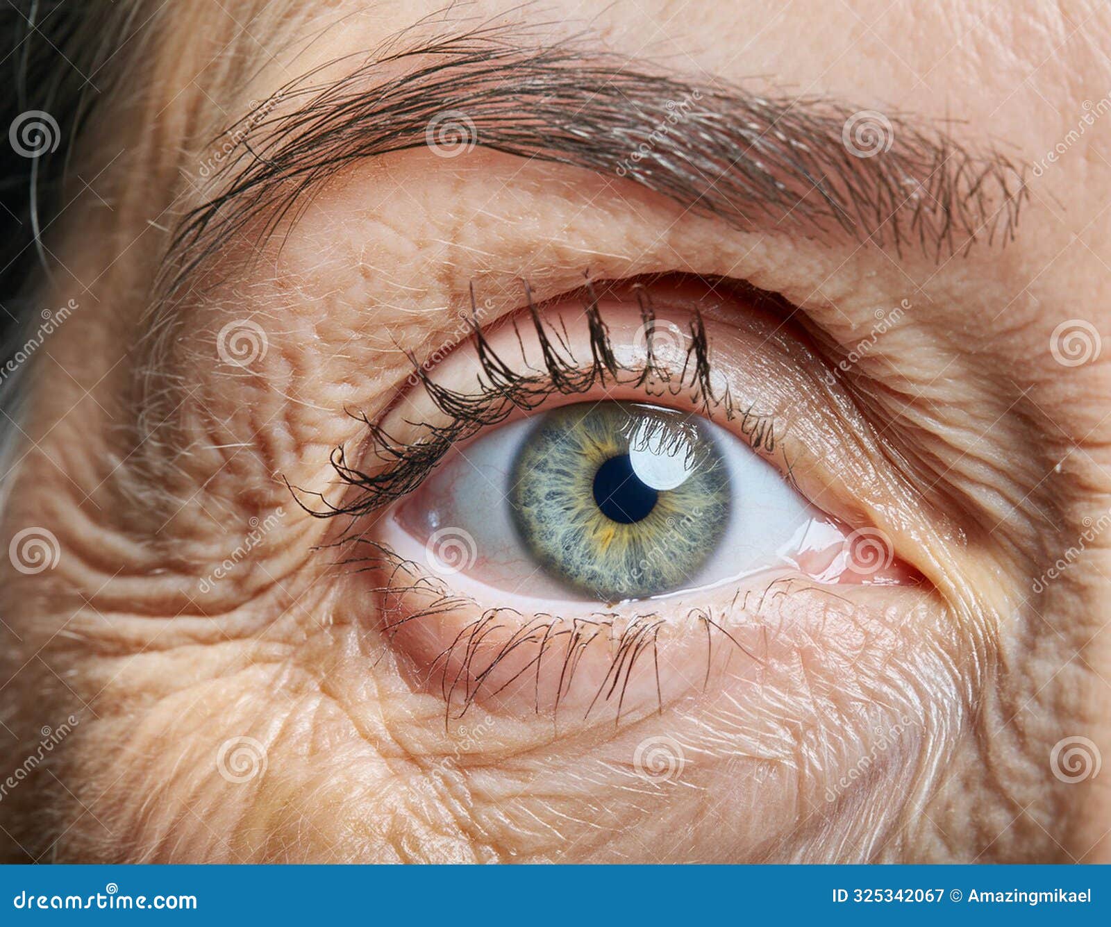 Detailed Human Eye Close-Up Shot Stock Illustration - Illustration of ... Detailed Human Eye Close-Up Shot Stock Illustration - Illustration of ...