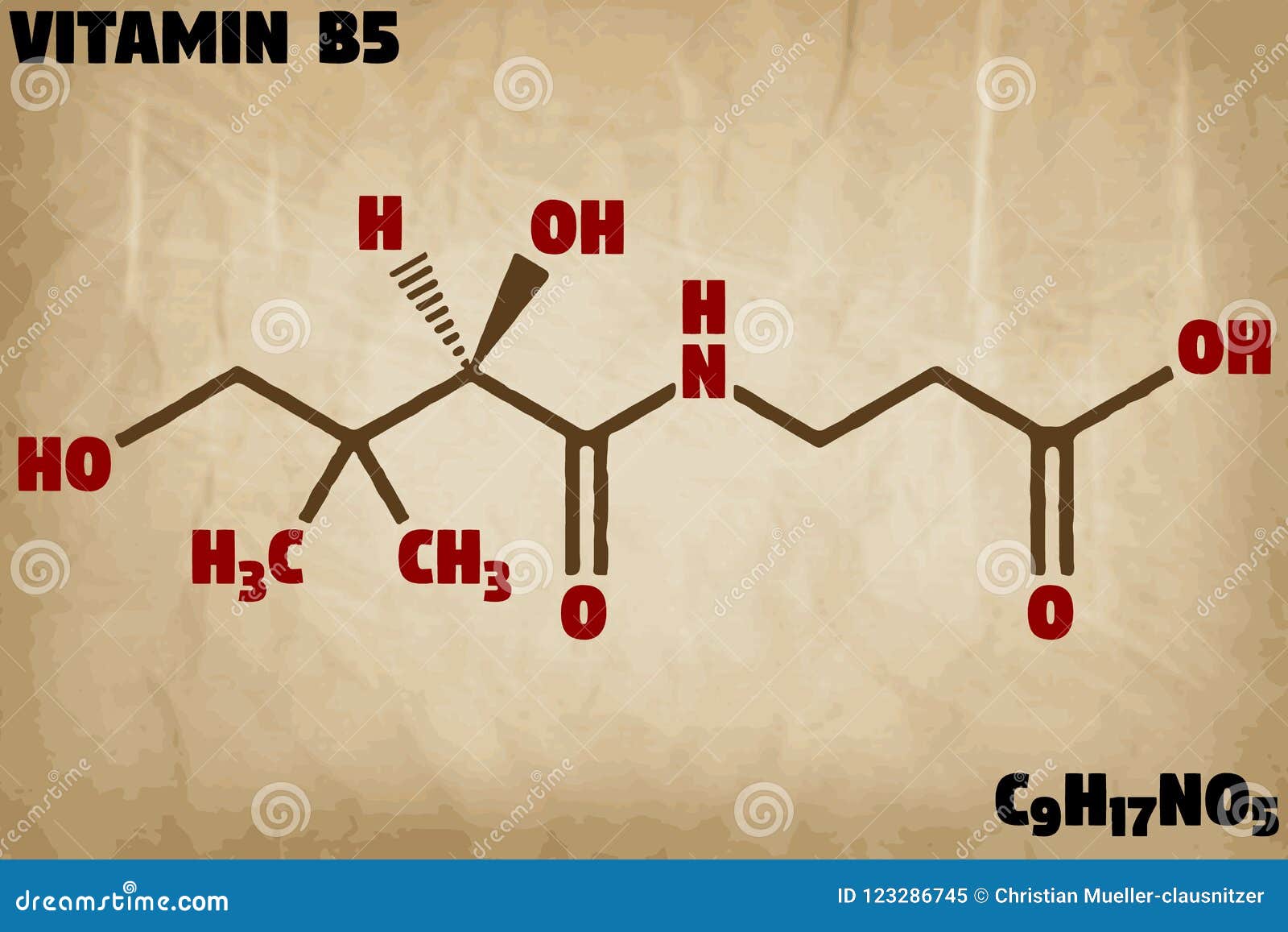 Detailed Illustration of the Molecule of Vitamin B5 Stock Vector ...