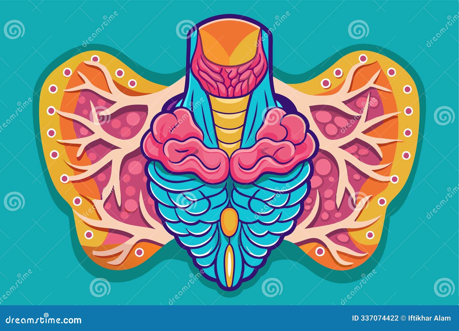 A Detailed Illustration of the Thyroid Gland Emphasizing Its Anatomy ...
