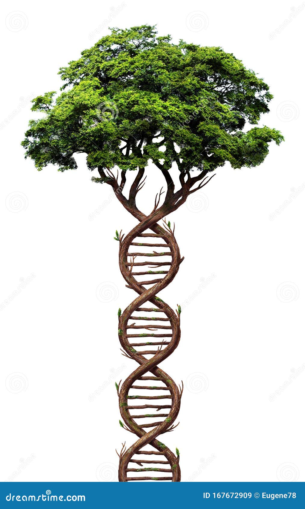 Tree of Evolution. Abstract Illustration Stock Image - Image of ...