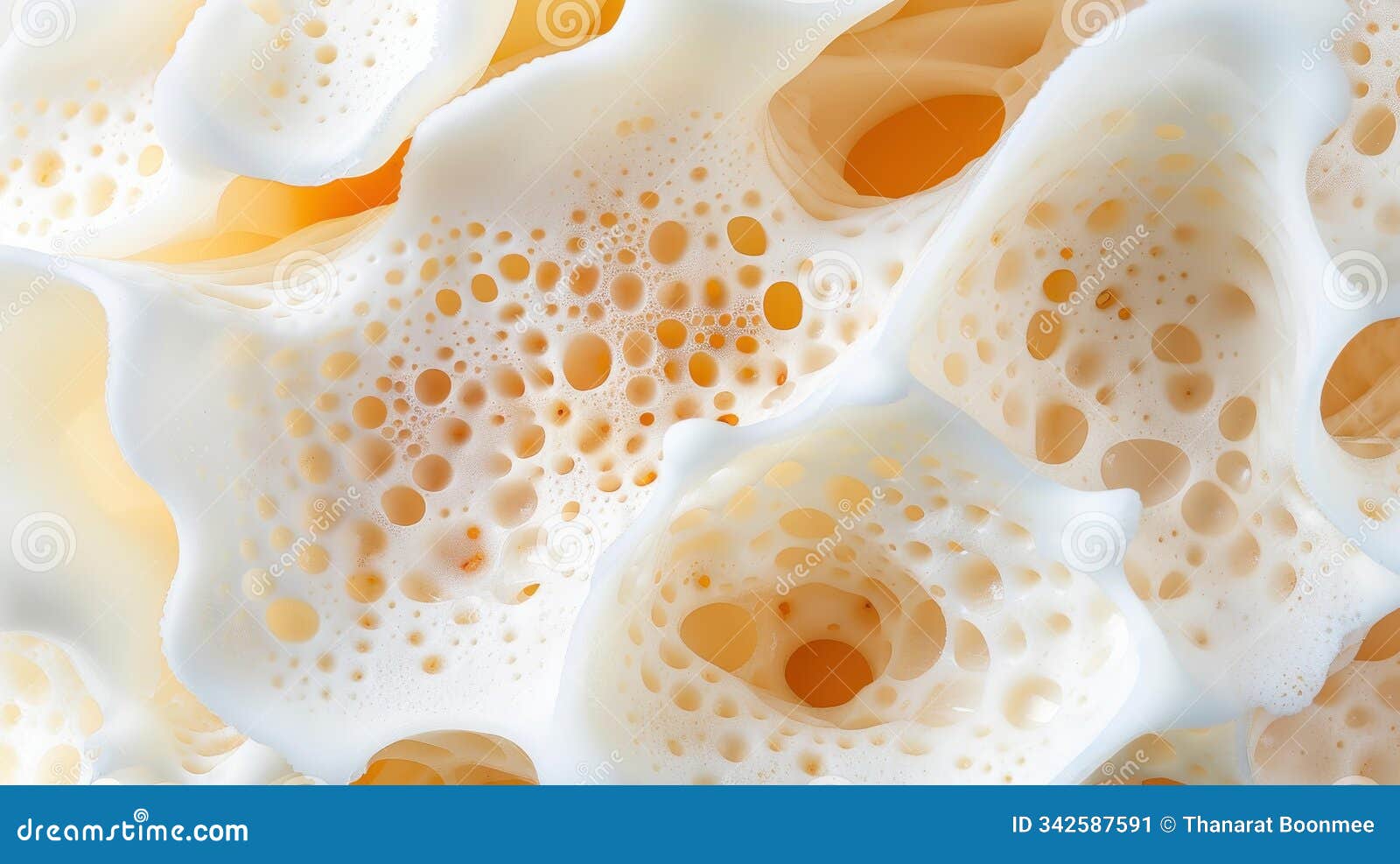 Explore the Intricate Macro Shot of Human Bone Structure, Showcasing ...