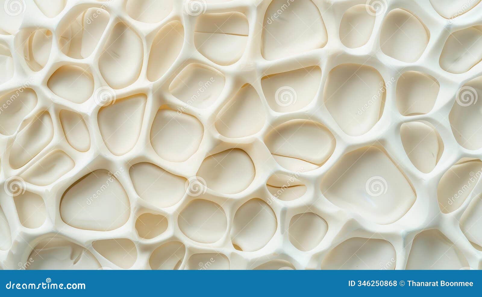 Explore the Intricate Macro Shot of Human Bone Structure, Showcasing ...