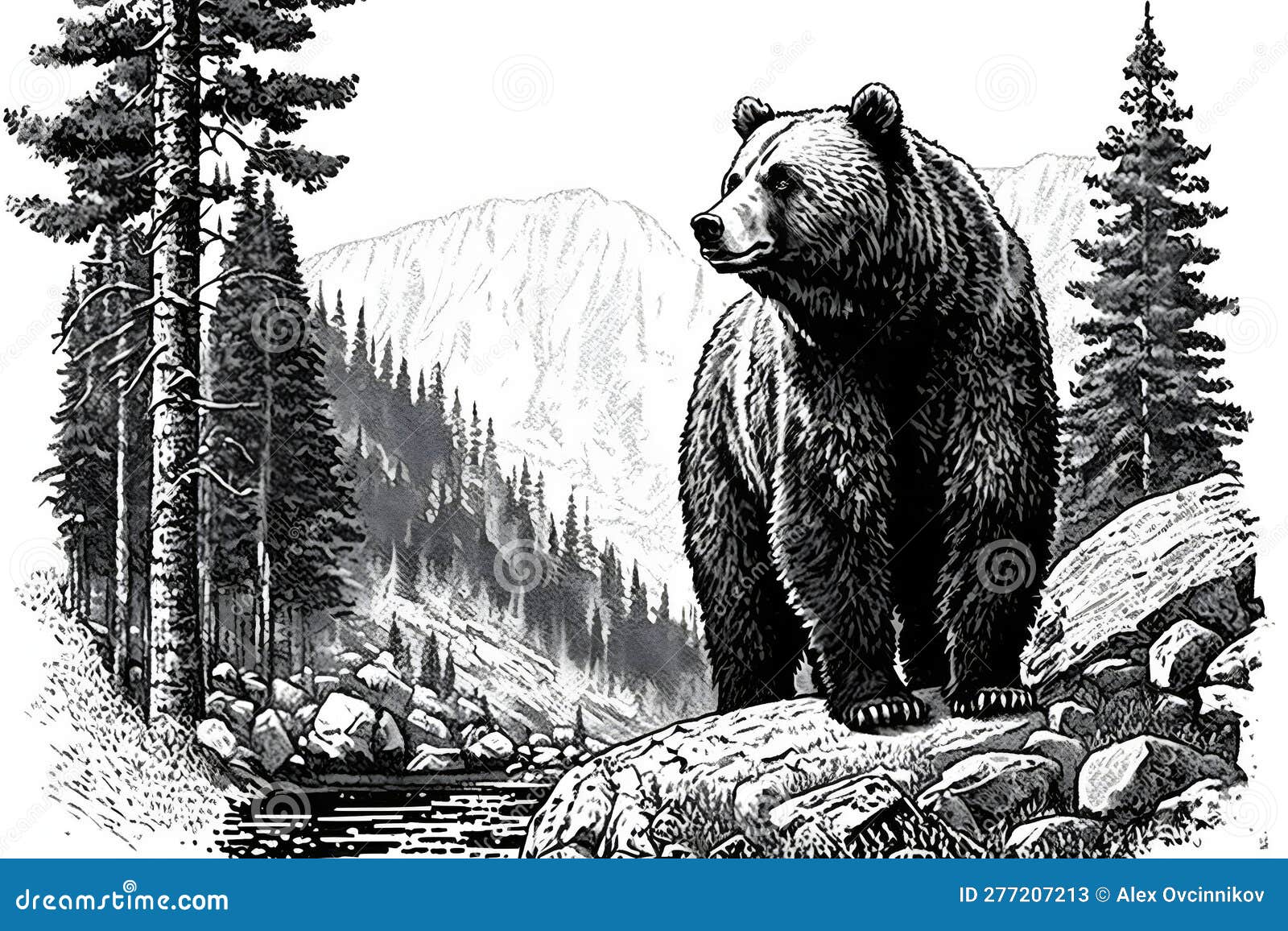Detailed Ink Drawing of a Bear for Posters and Wall Art. Stock Image ...