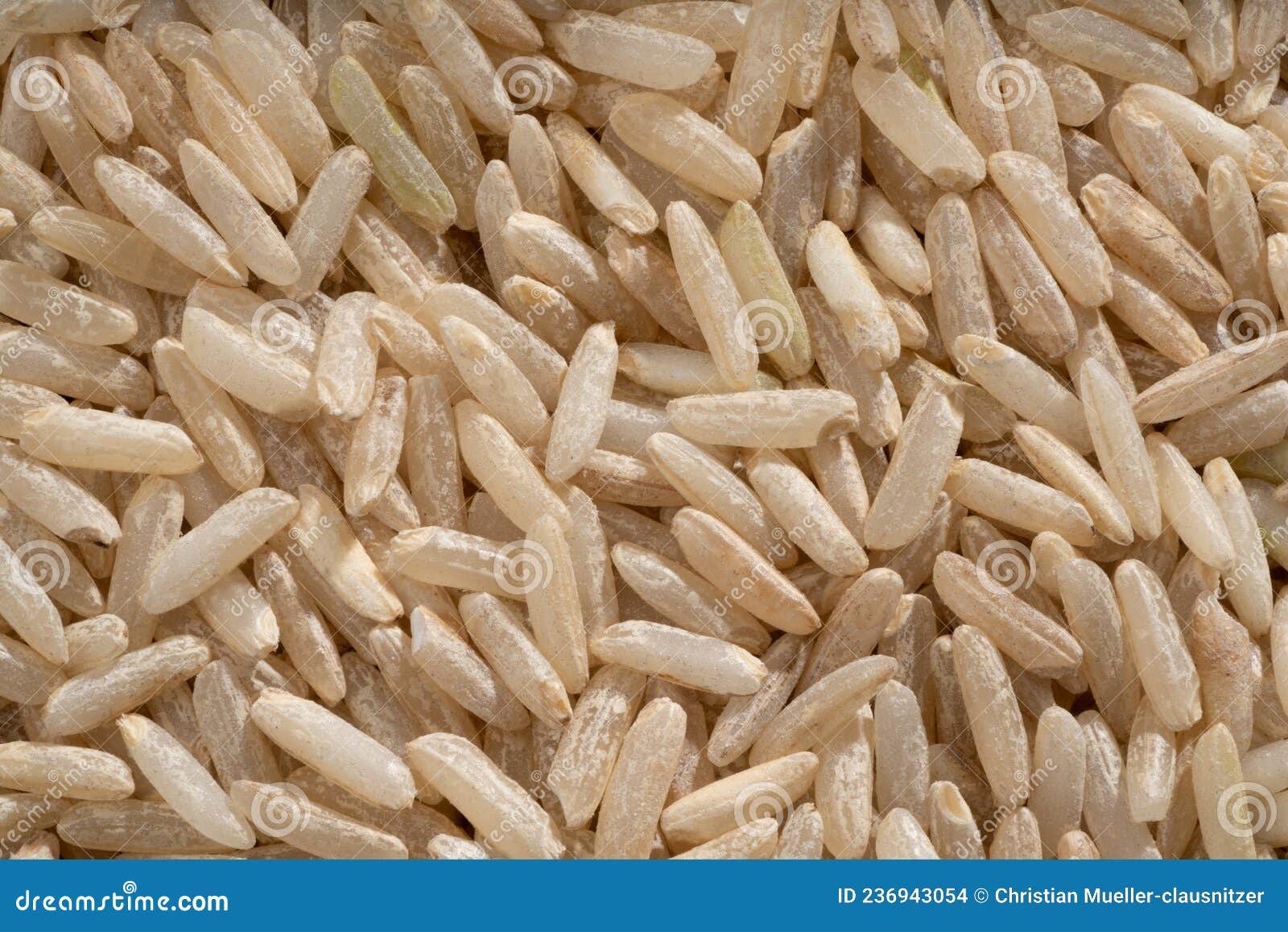 Large Close Up Shot of Rice Grain Stock Photo - Image of kernels ...