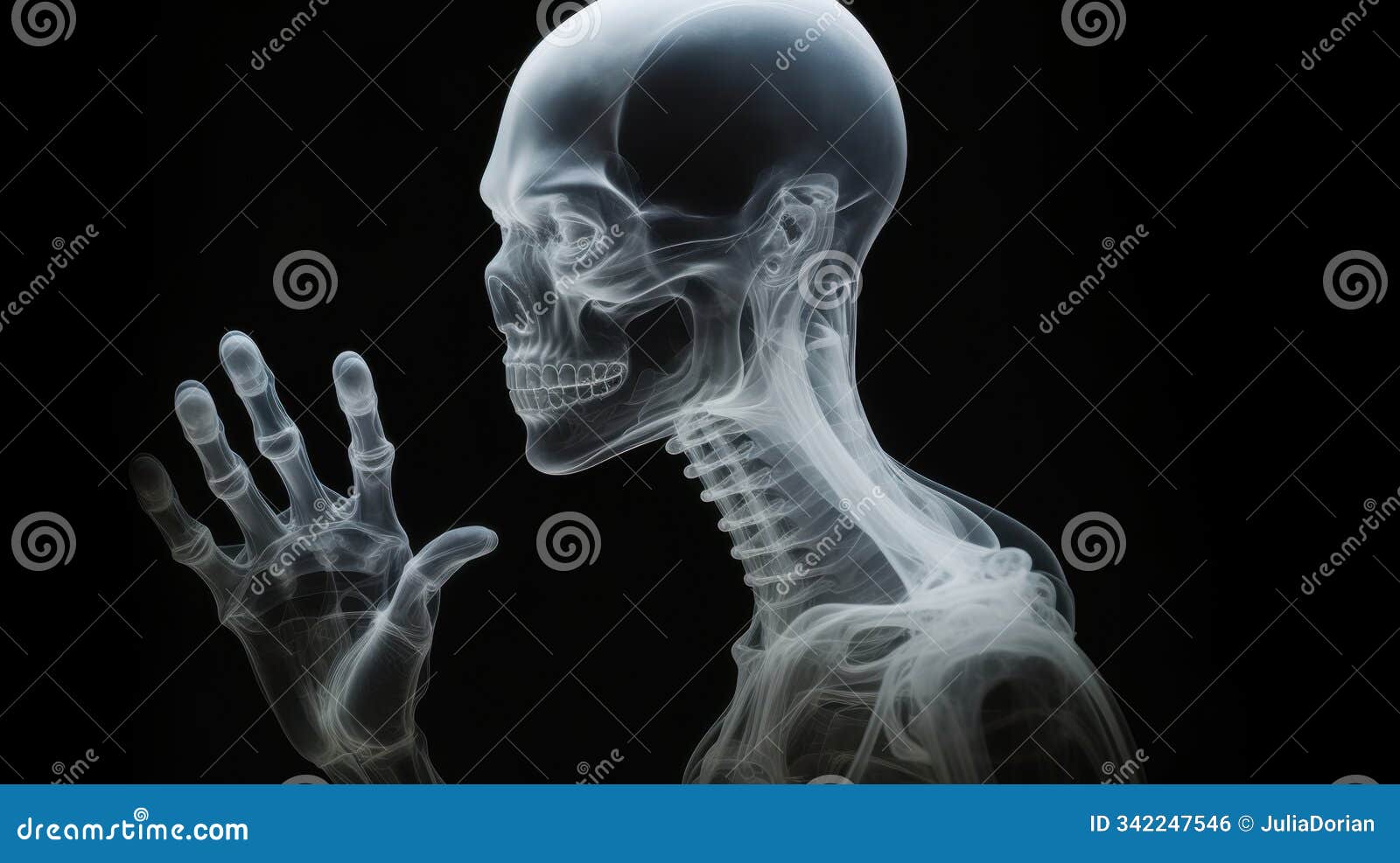 Detailed Lateral Side View X-ray Image of the Complete Human Skeleton ...