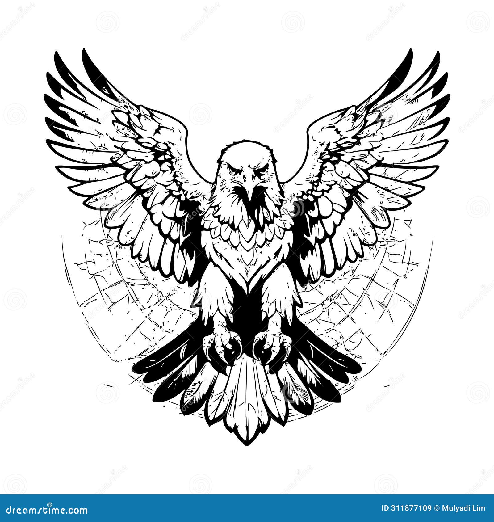 Detailed Line Drawing of an Eagle with Spread Wings Stock Vector - Illustration of hunter ...