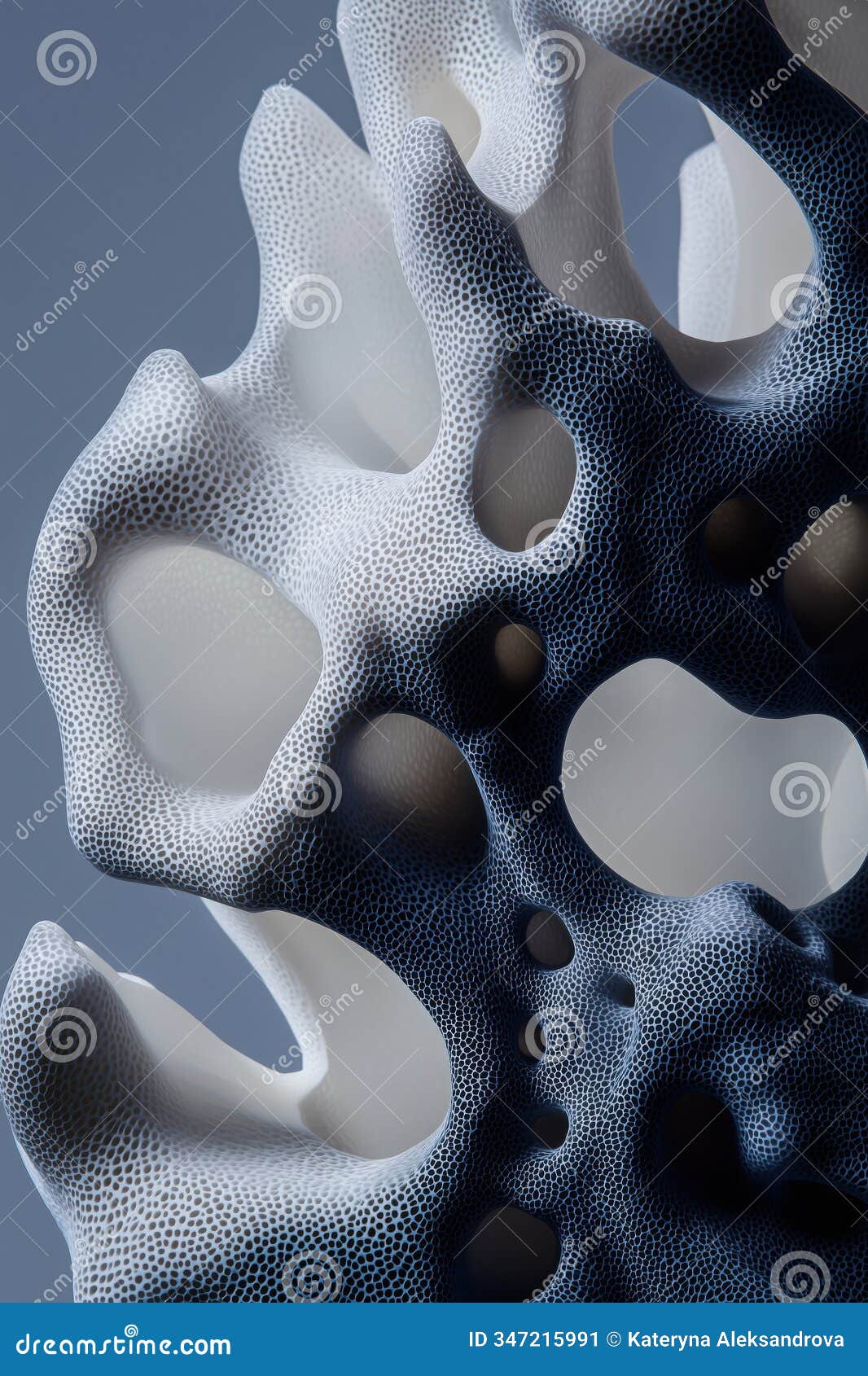 Detailed Macro Photograph of a Perforated Coral Structure with Organic ...