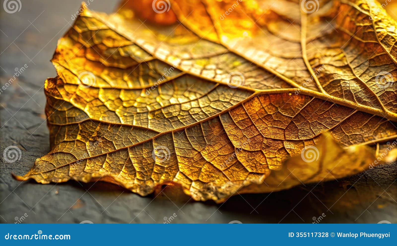 Oxidized Gold Leaf, Distressed Grunge Texture, Distressed, Pattern ...