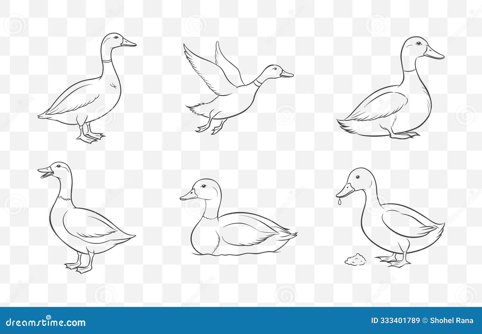 Duck . Line Art. Printable Pattern For Wall Decorations In A Minimalist ...