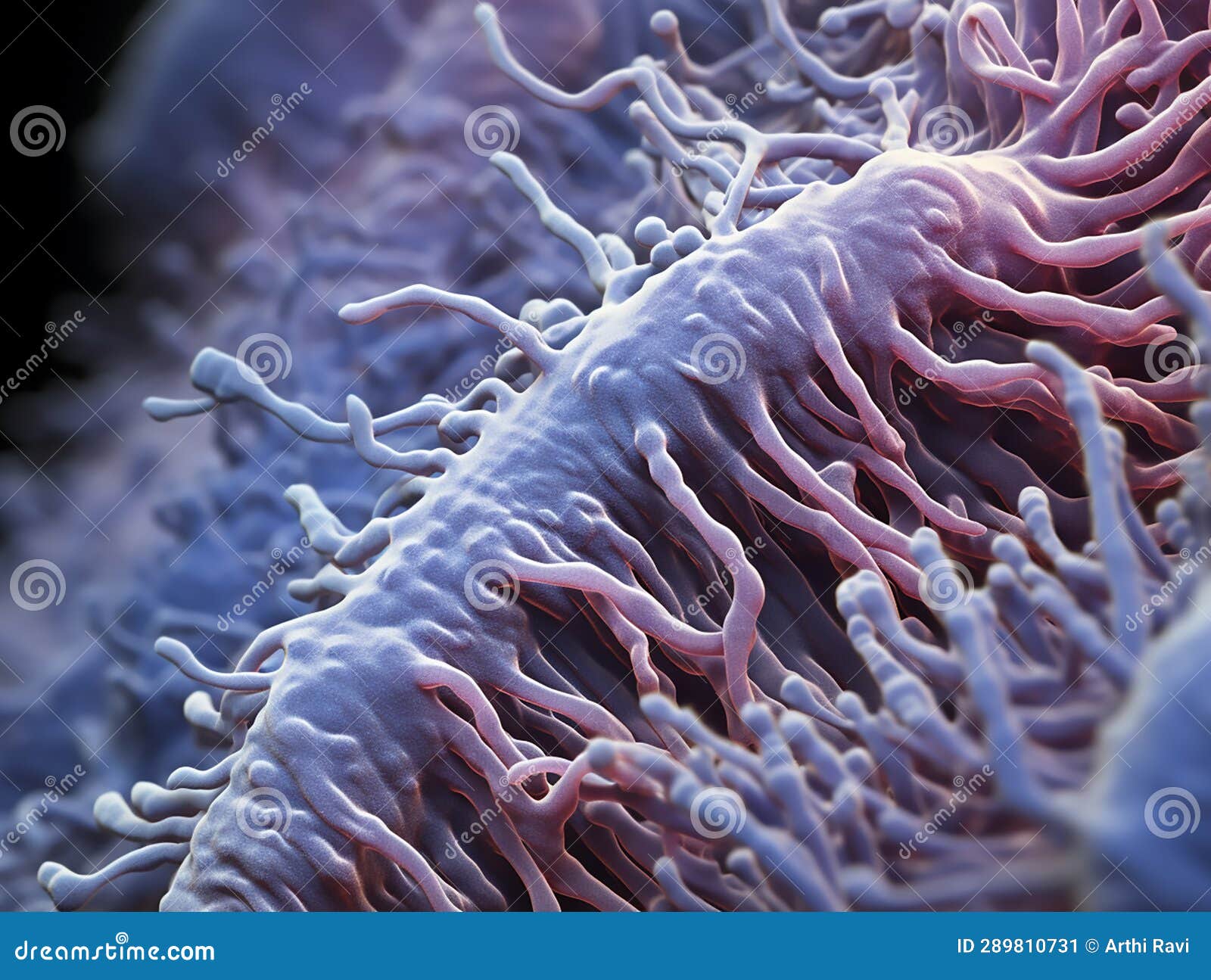 Detailed Microscopic Image Of Bacillus Anthracis Royalty-Free Stock ...