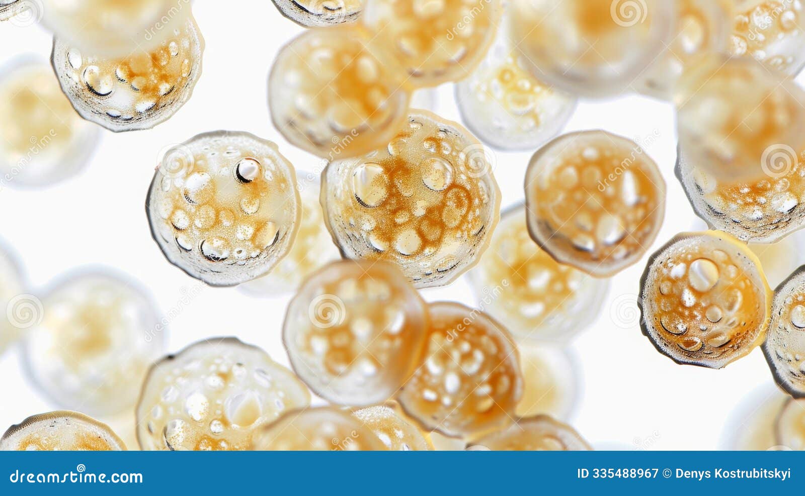 Microscopic View of Yeast Cells in High Detail Stock Illustration ...