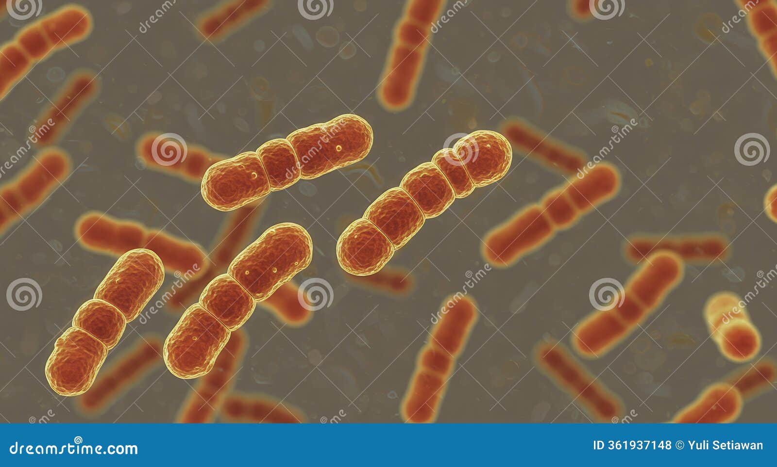 Detailed Streptococcus Bacteria Vivid Colors Microbial Structure ...