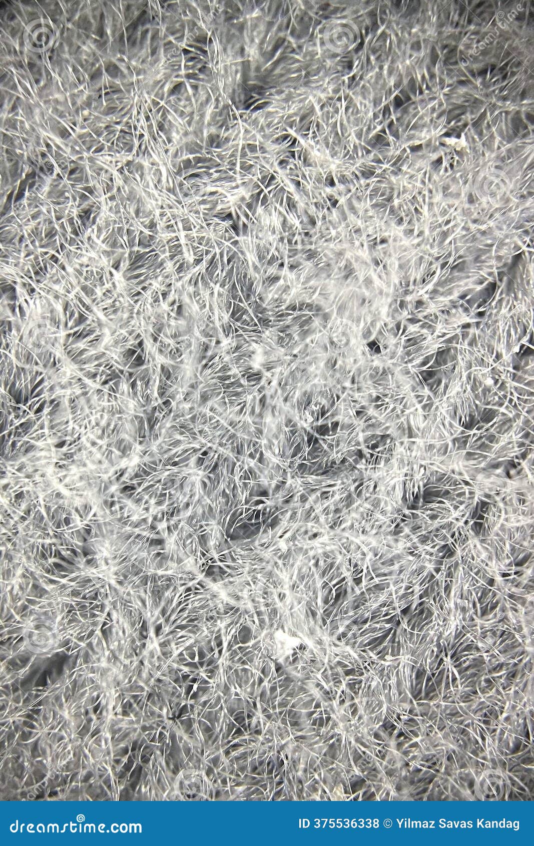 A Detailed Microscopic Image Of A Substrate Surface Illustrating The ...