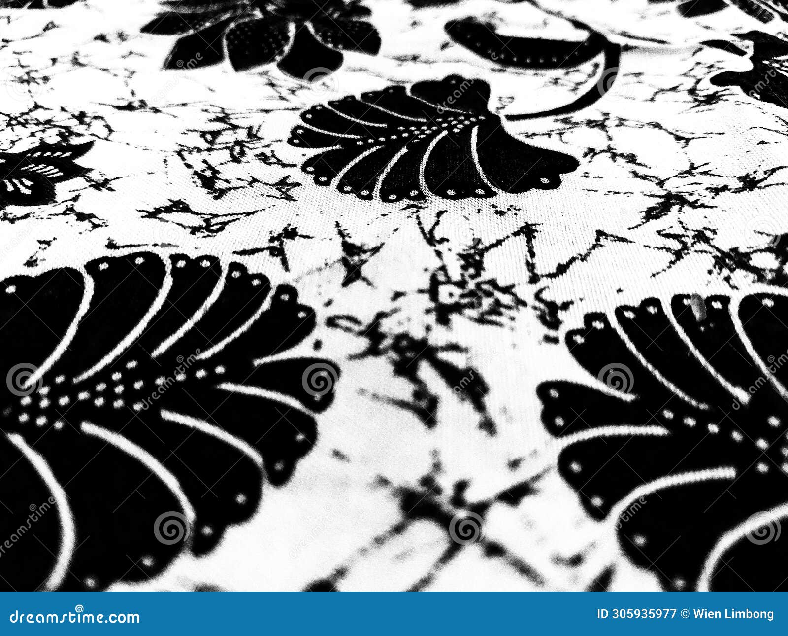 Detailed Pattern of Indonesian Batik Cloth in White Black Colors. Stock ...