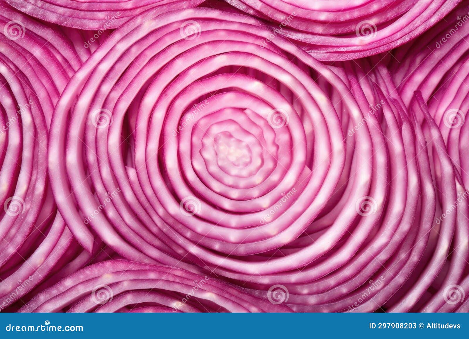 Detailed Photo of the Texture of a Cut Onion Stock Image - Image of ...