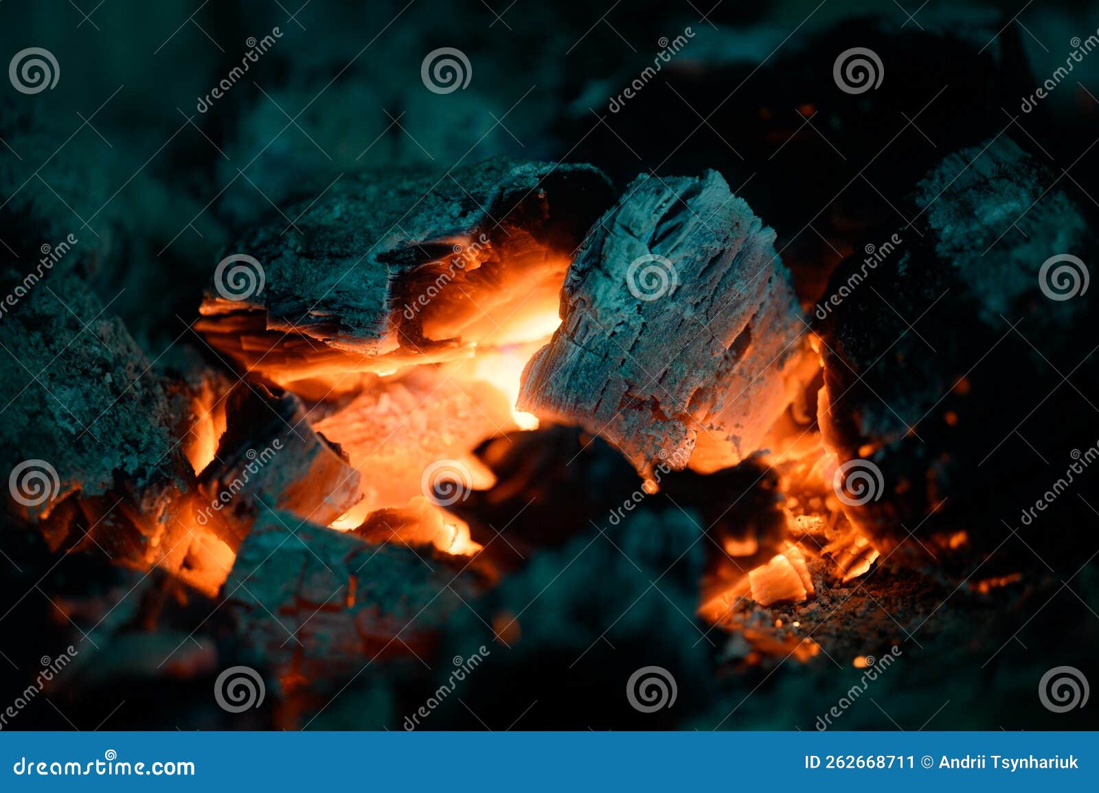 Detailed Plan of the Combustion Chamber in the Fireplace, Burning Wood ...