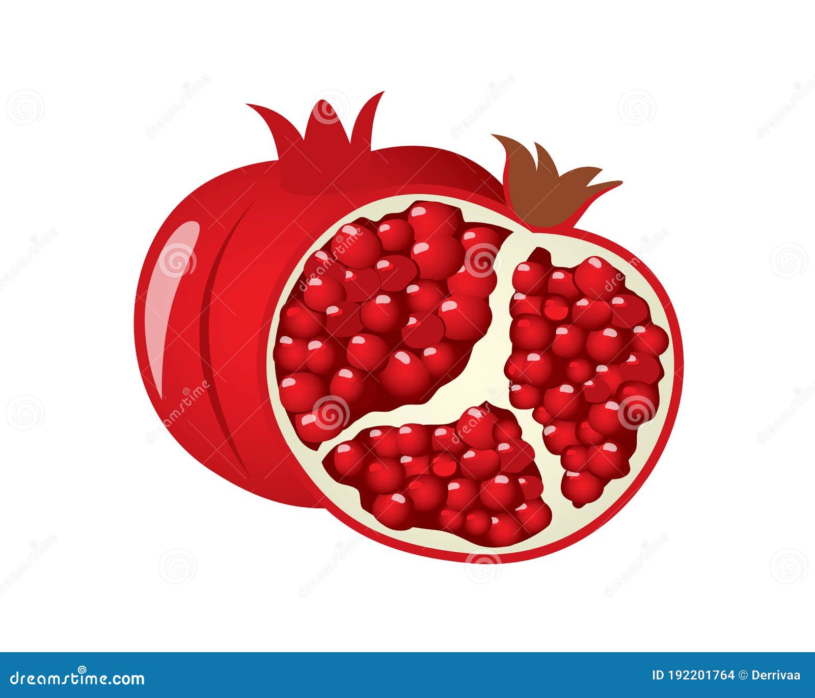 Detailed Pomegranate with the Slice Illustration Stock Vector ...