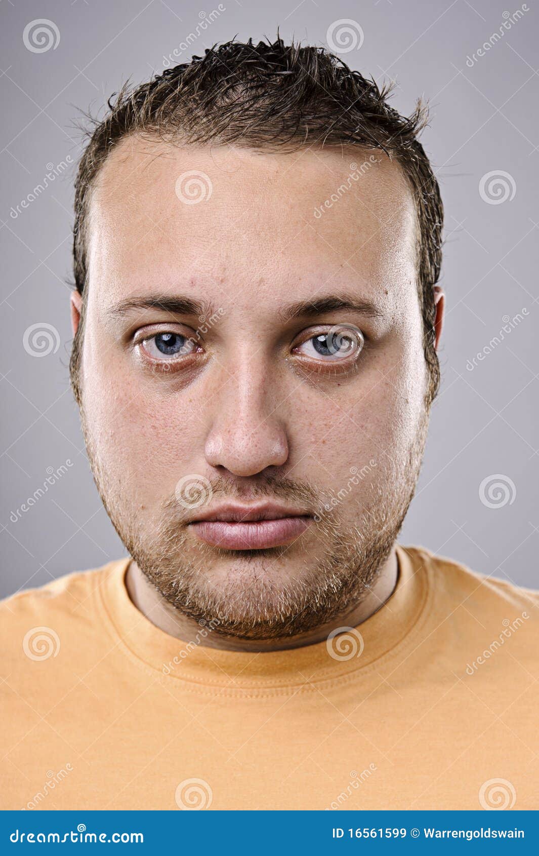 Detailed Portrait stock image. Image of looking, white - 16561599