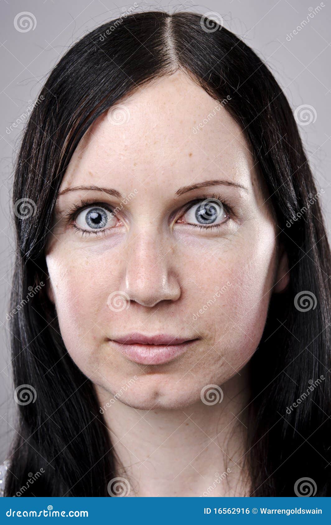 Detailed Portrait stock photo. Image of pose, complexion - 16562916