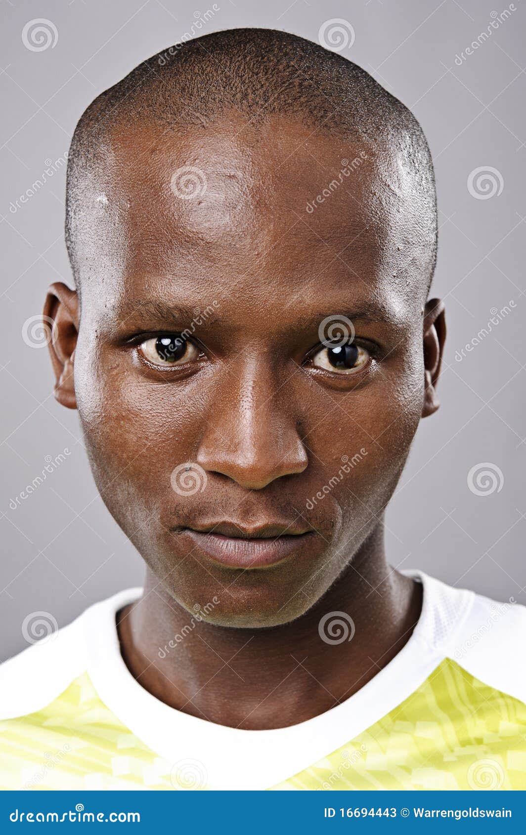 Detailed Portrait stock image. Image of real, studio - 16694443