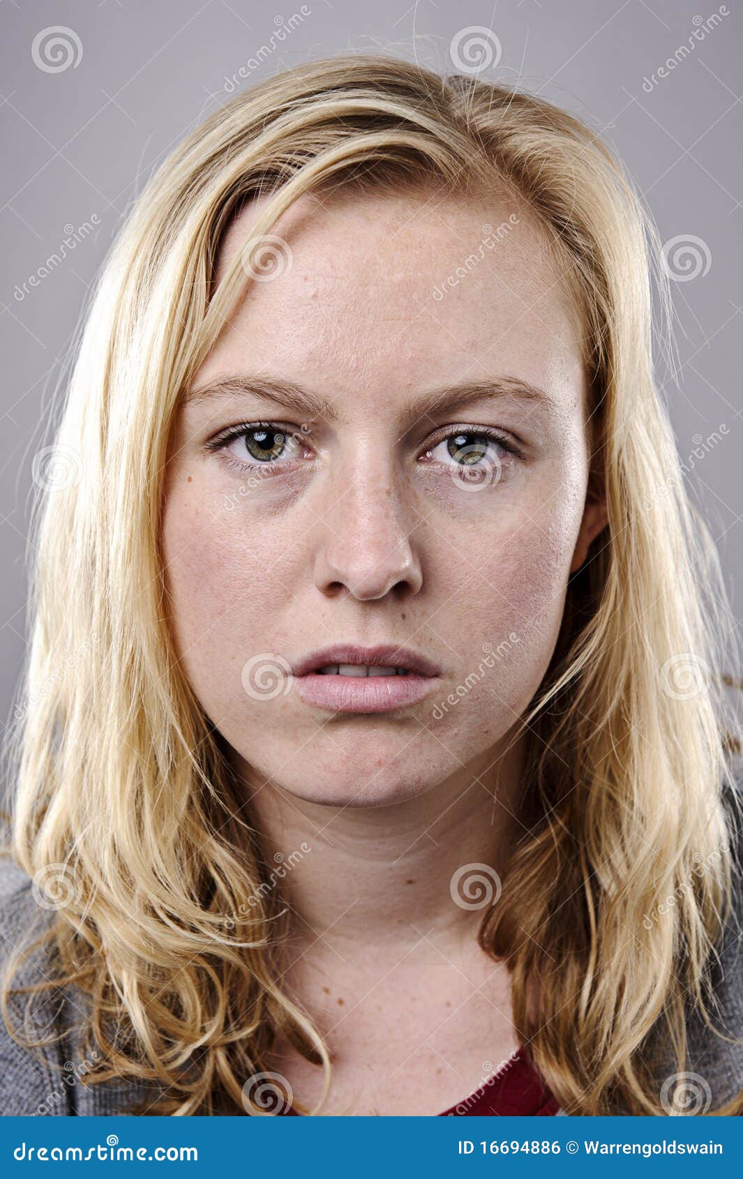 Detailed Portrait stock photo. Image of headshot, closeup - 16694886