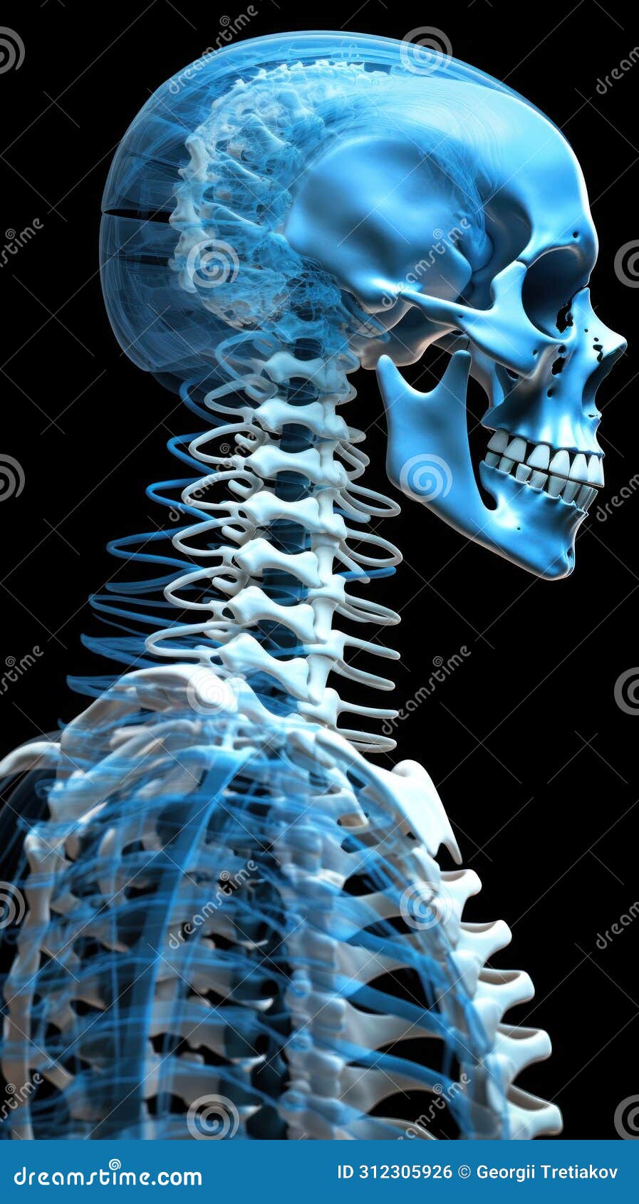 X-Ray View of Human Skull and Cervical Spine Stock Illustration ...