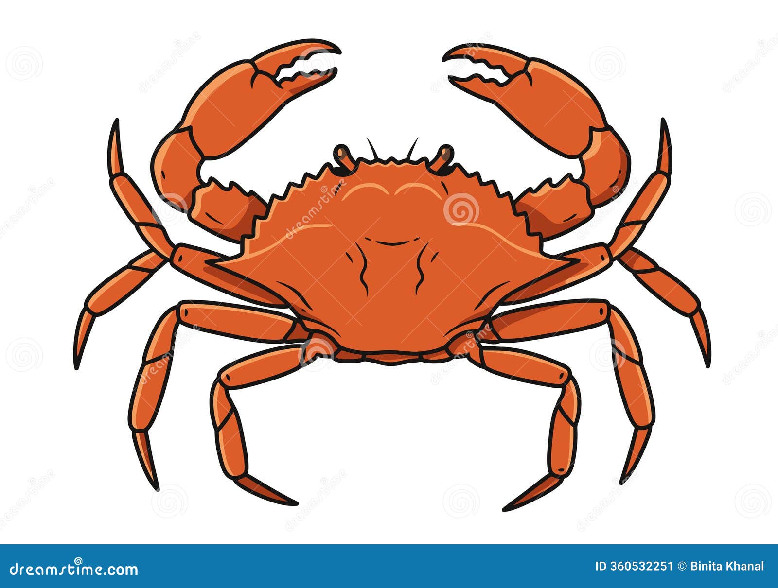Realistic Red Crab. Sea Aquatic Animal With Claw. Crawfish, Seafood ...