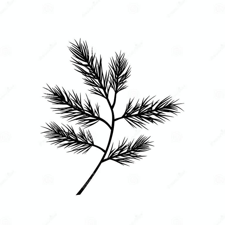 Detailed Representation of a Pine Branch Showcasing Its Intricate ...