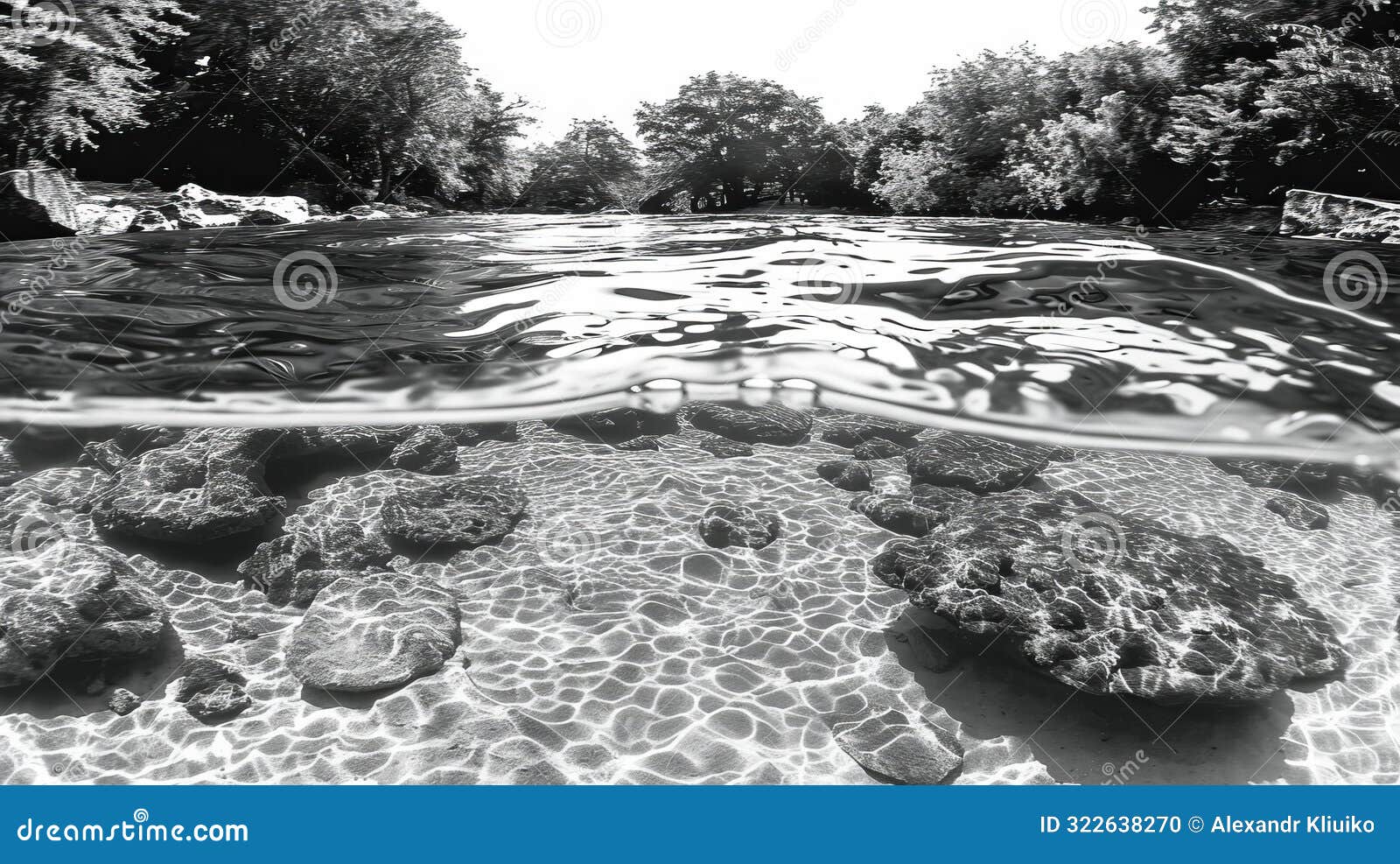 Detailed Ripples and Caustic Light Effects Realistic Transparent Water ...