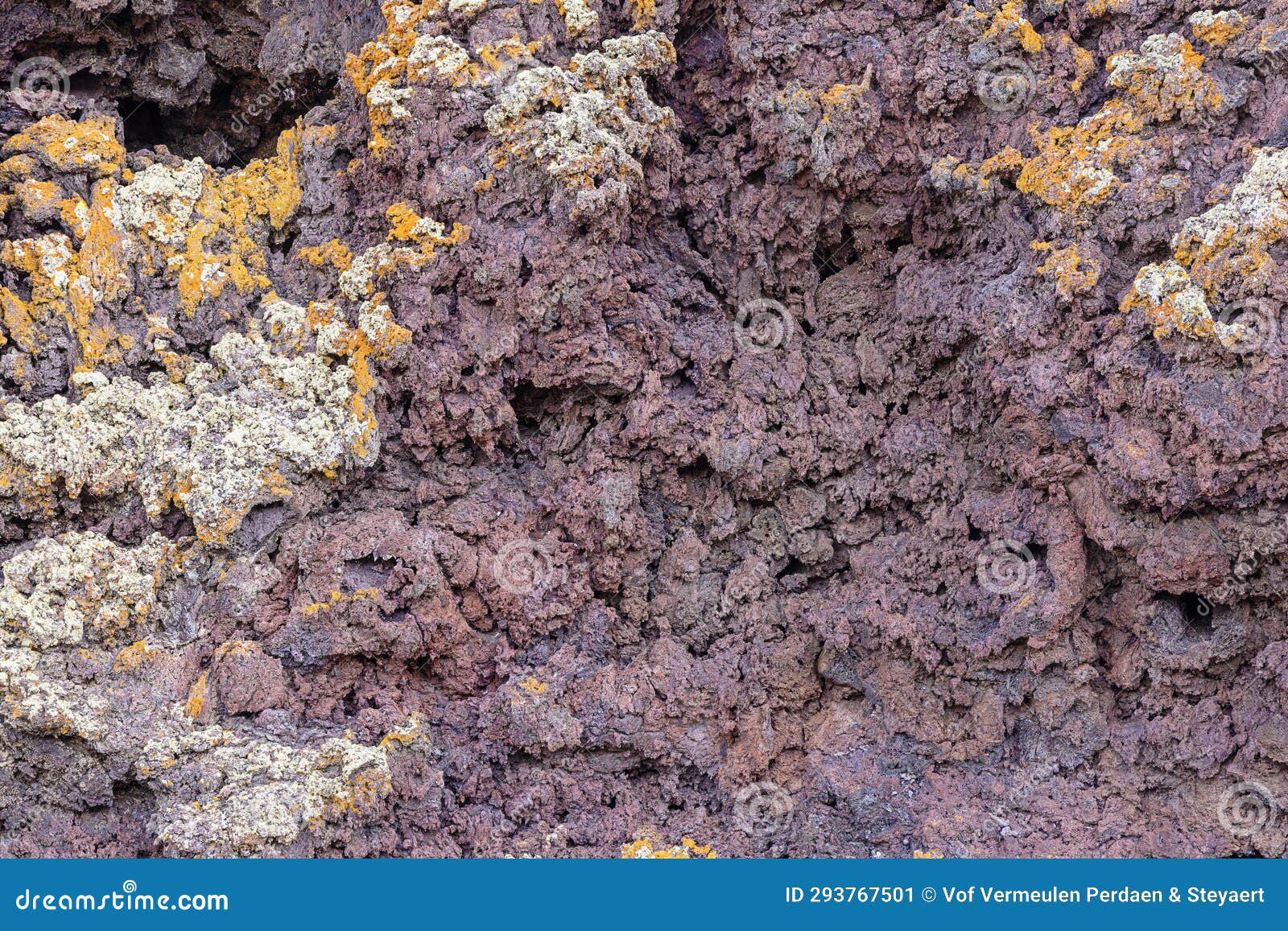 Detailed Rock Structure with Lichen in a Spatter Cone Stock Image ...