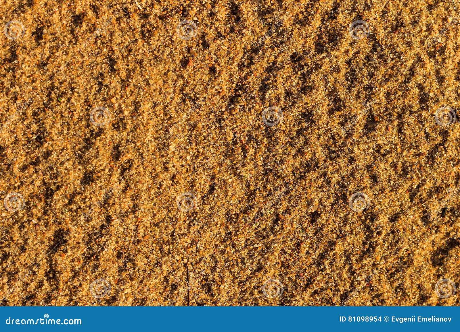 Detailed sand texture stock photo. Image of summer, design - 81098954