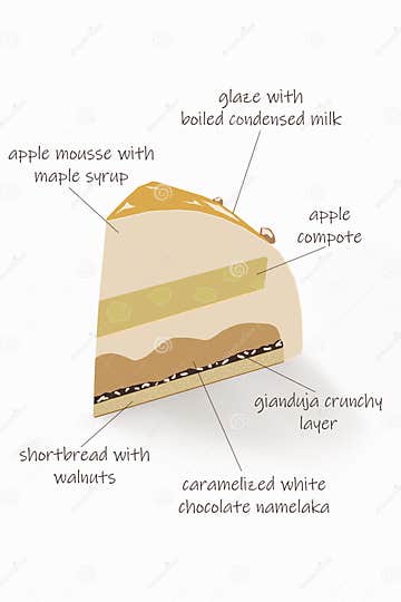Detailed Schematic Diagram of Cake Stock Illustration - Illustration of ...
