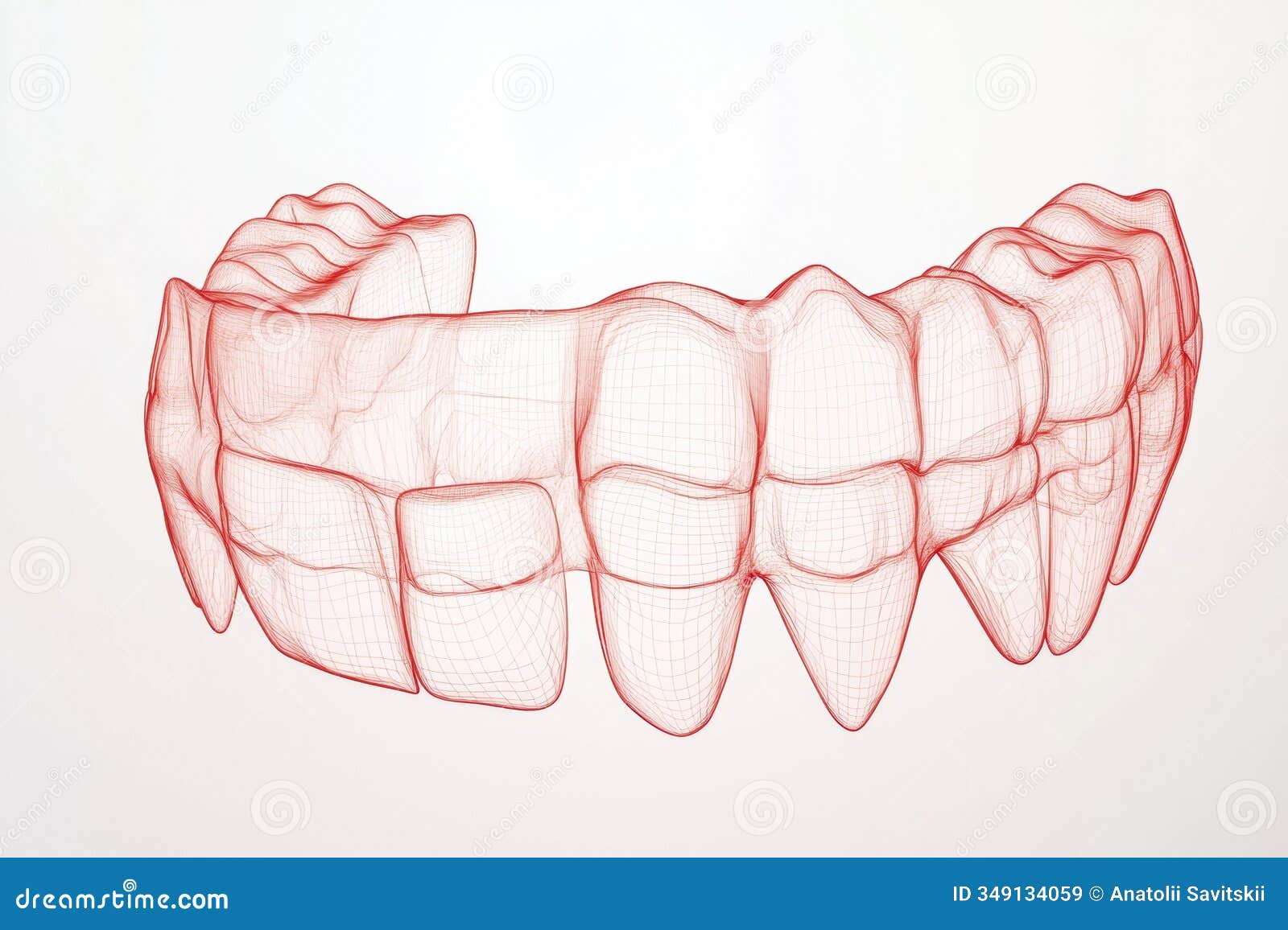 Detailed Schematic Rendering of a Dental Arch Emphasizing Clarity and ...