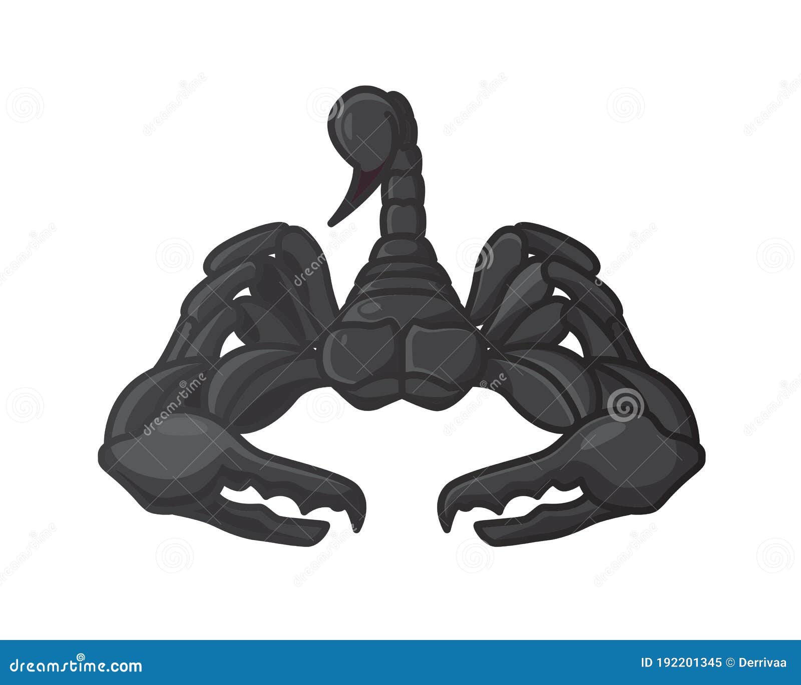 Detailed Scorpion with Front View Illustration Stock Vector ...