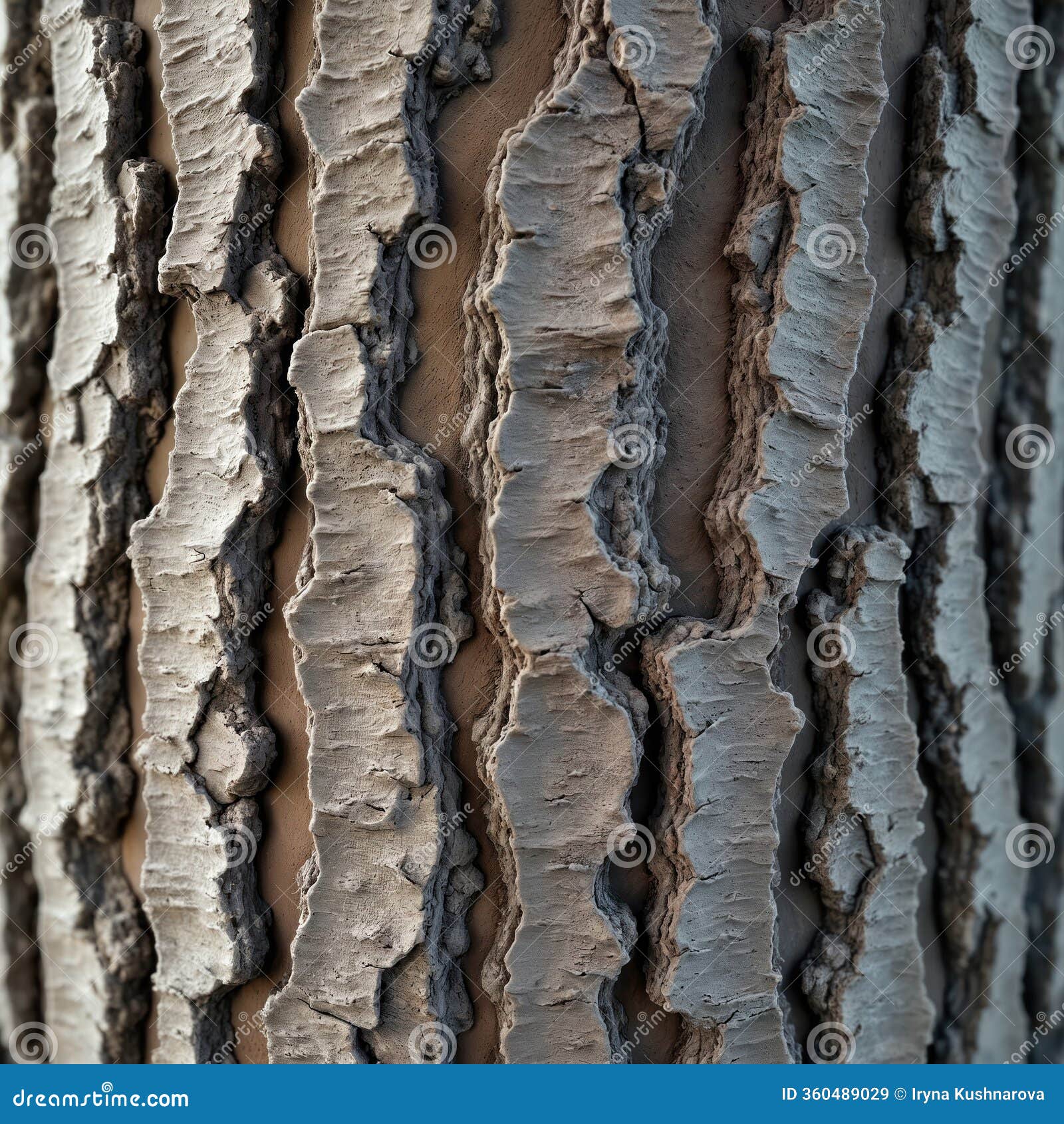 Detailed Seamless Texture of Oak Tree Bark. Deep Grooves, Rough Surface ...