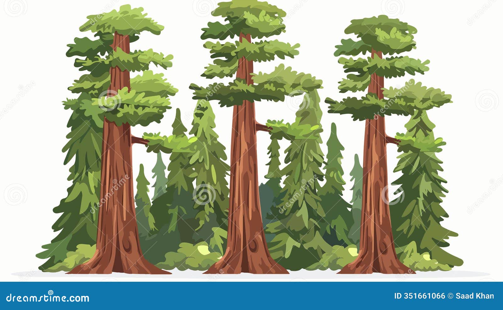 Detailed Sequoia Tree Flat Vector Illustration on White Background ...