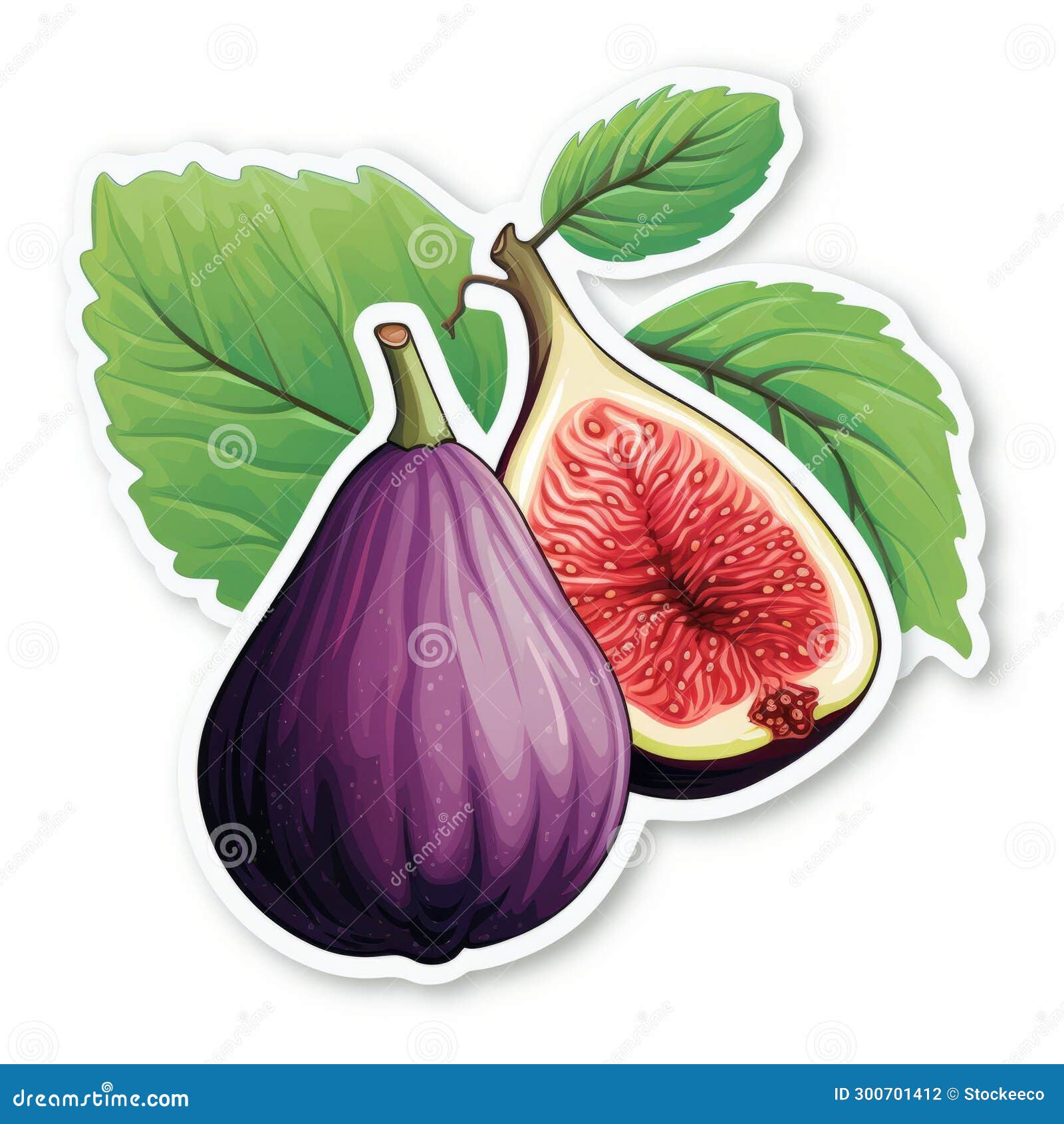 Detailed Shading Fig Sticker with Purple Fig and Leaf Vector Stock ...