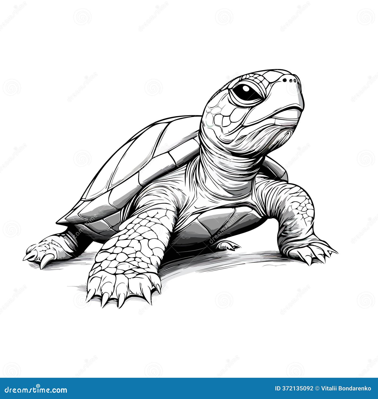 Detailed Sketch Of A Large Industrial Pipe System With Annotations. A ...