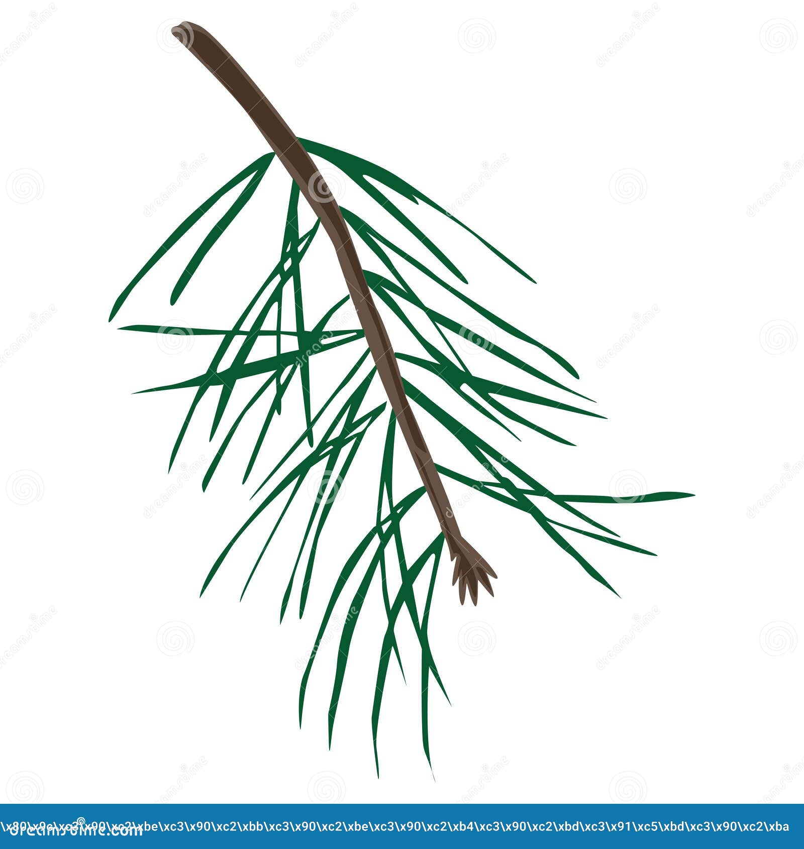 Detailed Spruce Branch Vector Single Illustration Stock Illustration ...