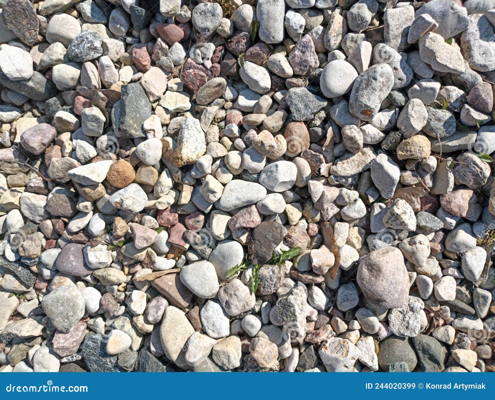 Detailed Ground Rocks Surface Stock Image - Image of surface, scrathes ...