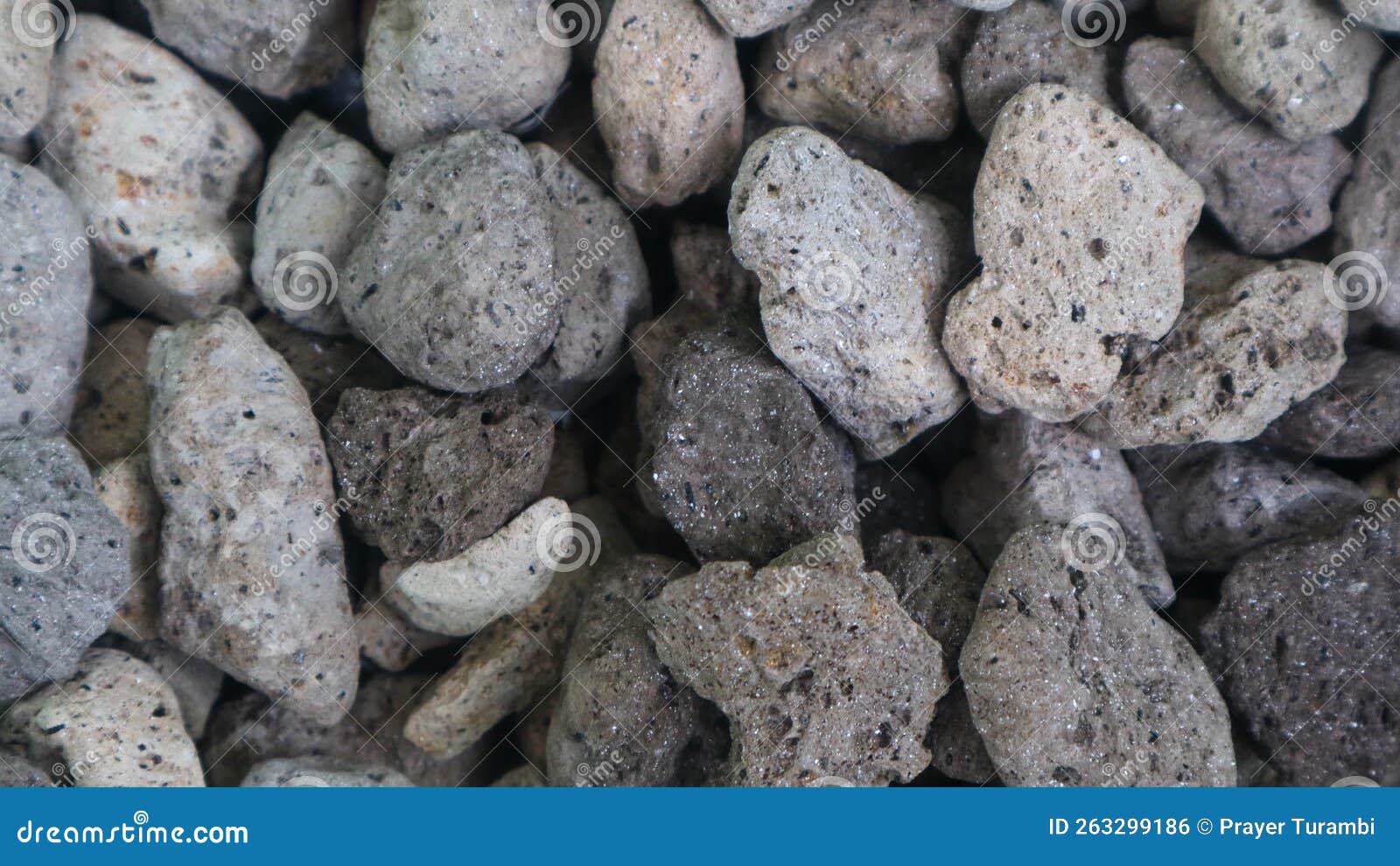 Detailed Surface Texture of a Pile of Pumice As a Background Stock ...