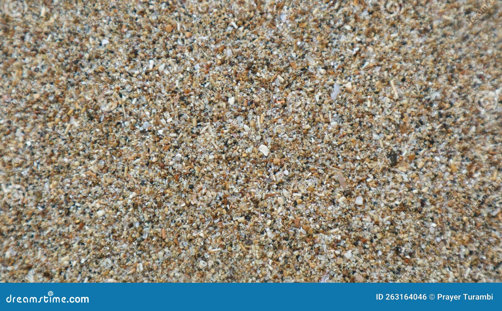 Detailed Surface Texture of Sand for Background Stock Photo - Image of ...