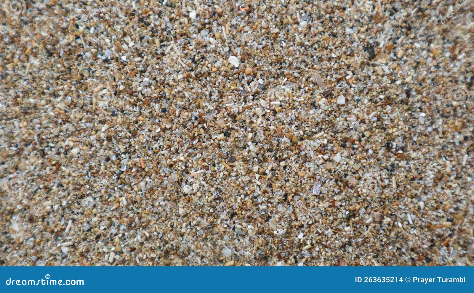Detailed Surface Texture of Sand for Background Stock Photo - Image of ...