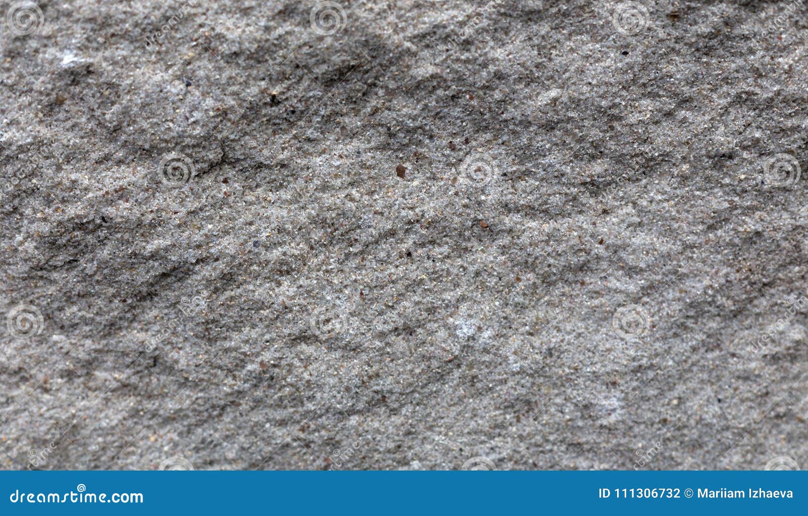Detailed Texture of Texture and Background with High Resolution. Stock ...