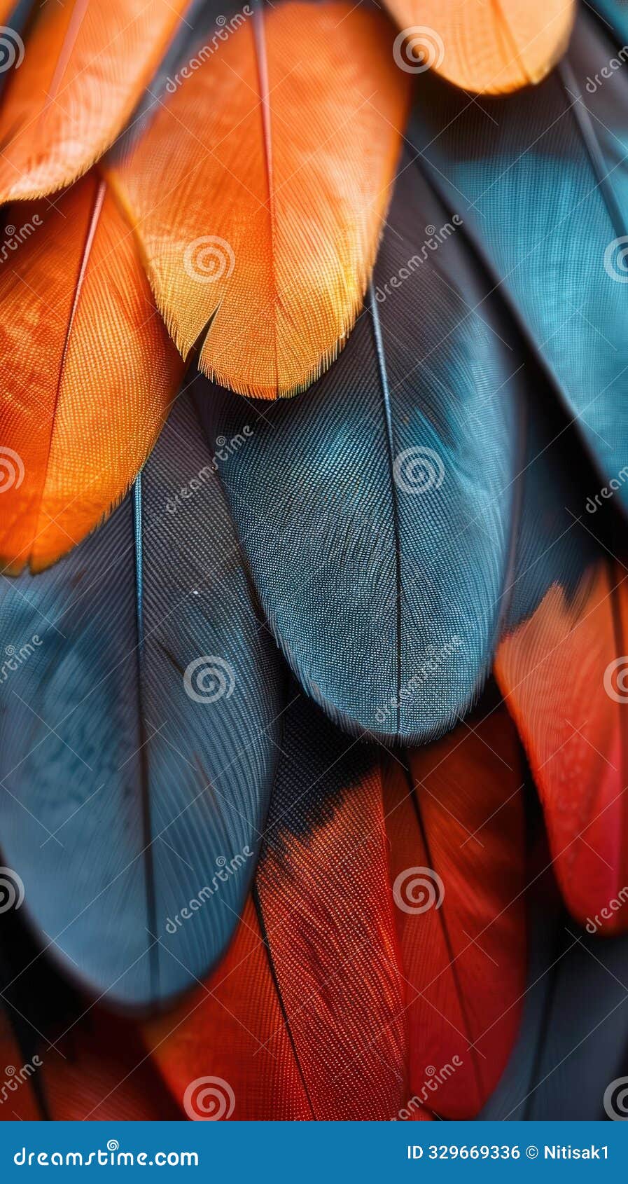 Detailed Texture Of Butterfly Wing Scales Stock Photography ...