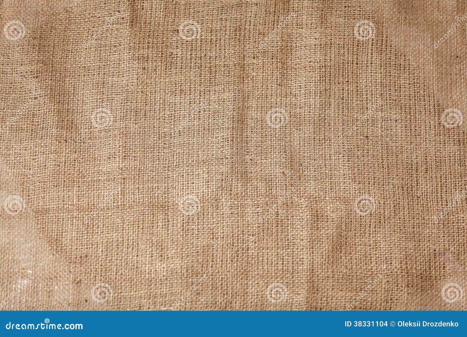 The Detailed Texture Of Overlapping Banana Leaves With Bright Green ...