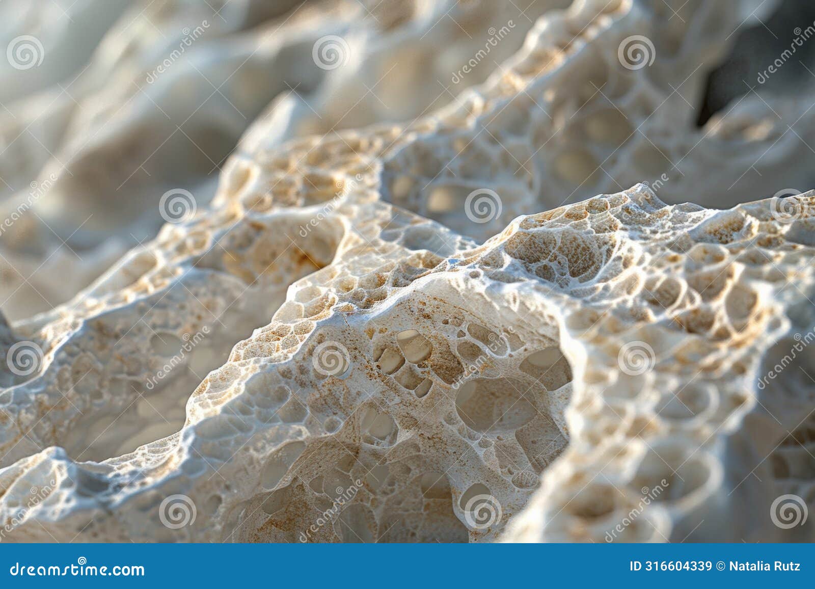 The Detailed Texture of Eroded Limestone Stock Image - Image of rock ...