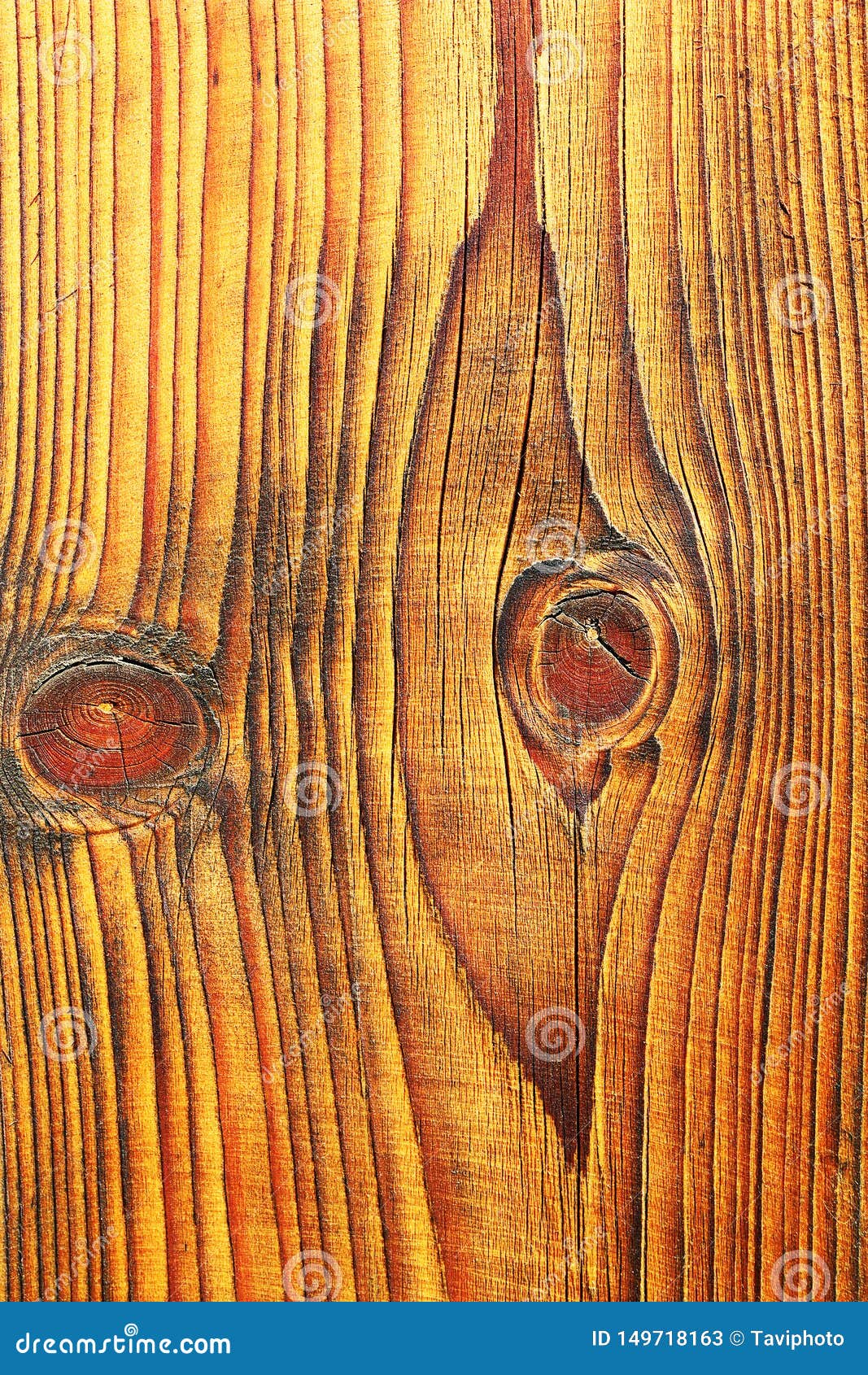 Detailed Texture of Fir Plank Stock Image - Image of parquet, design ...