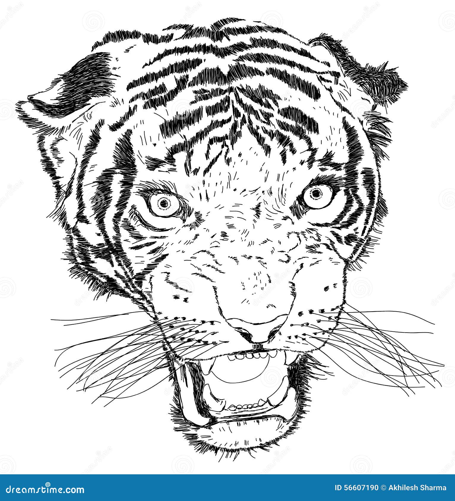 Detailed Tiger Face Vector Illustration Stock Vector - Illustration of ...