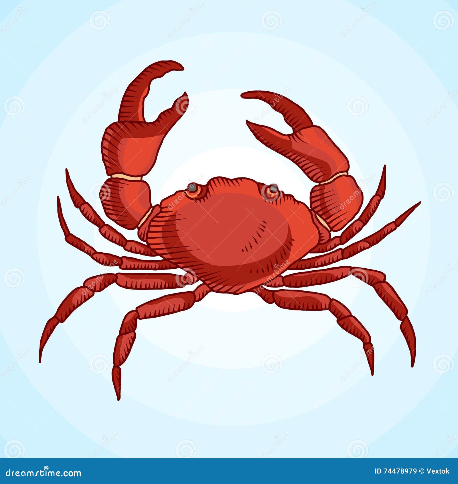 Detailed Vector Drawing of a Sea Crab Stock Vector - Illustration of ...